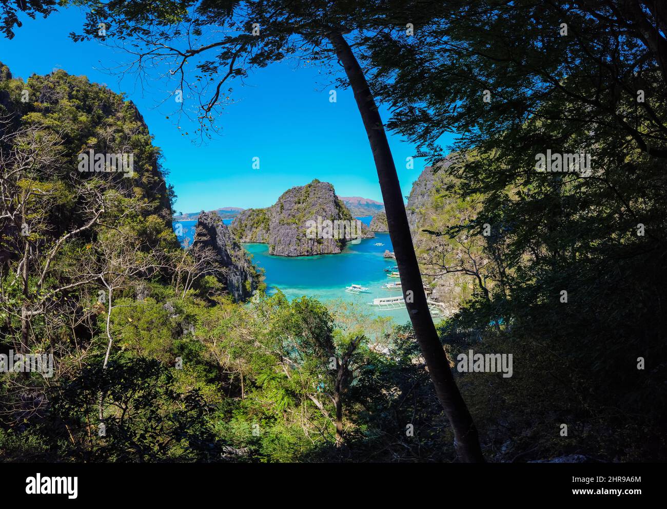 view of a tropical island with cliffs rock trees surrounded in blue ...