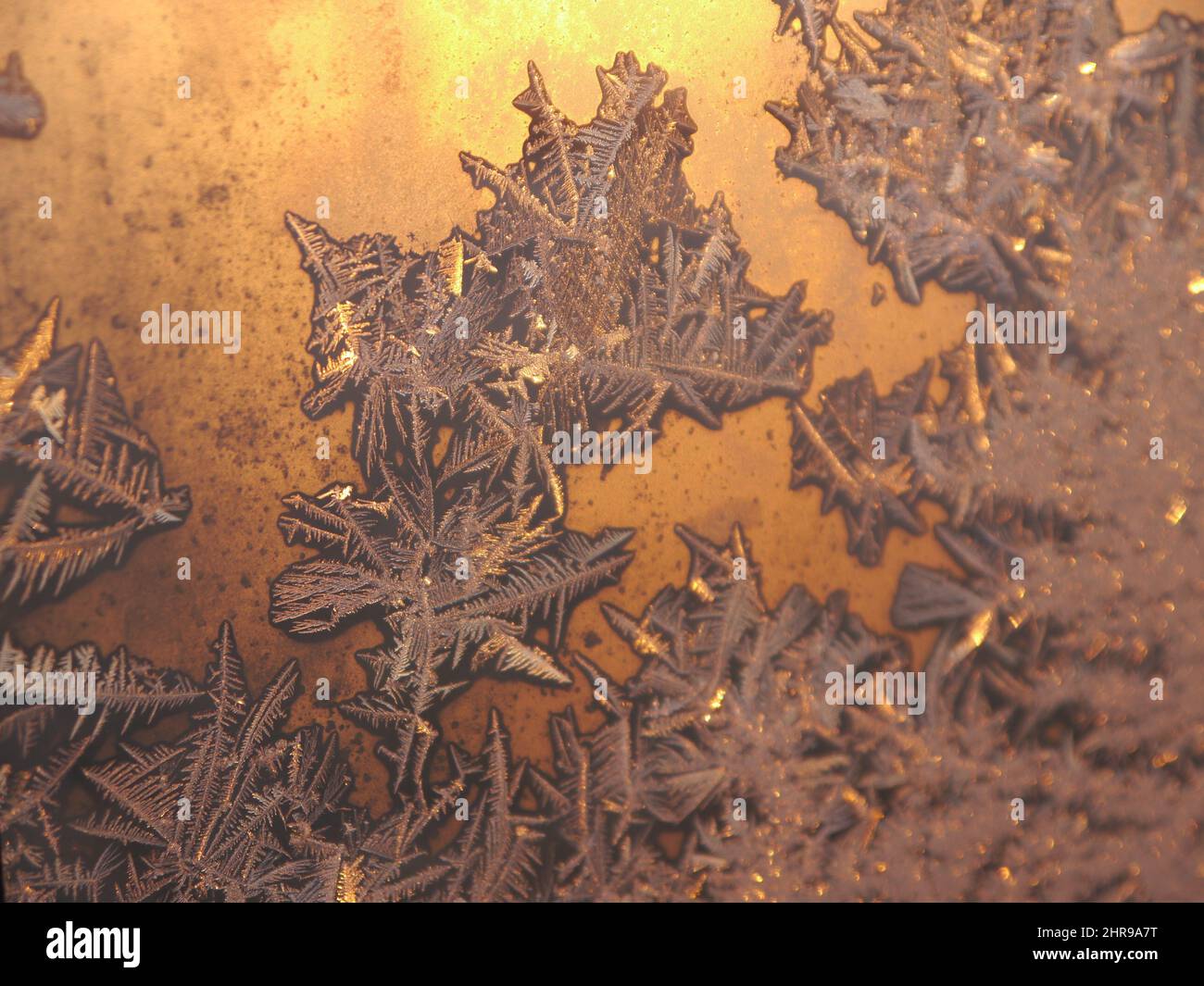 Closeup of frost patterns on a window on a cold winters day in Missouri ...