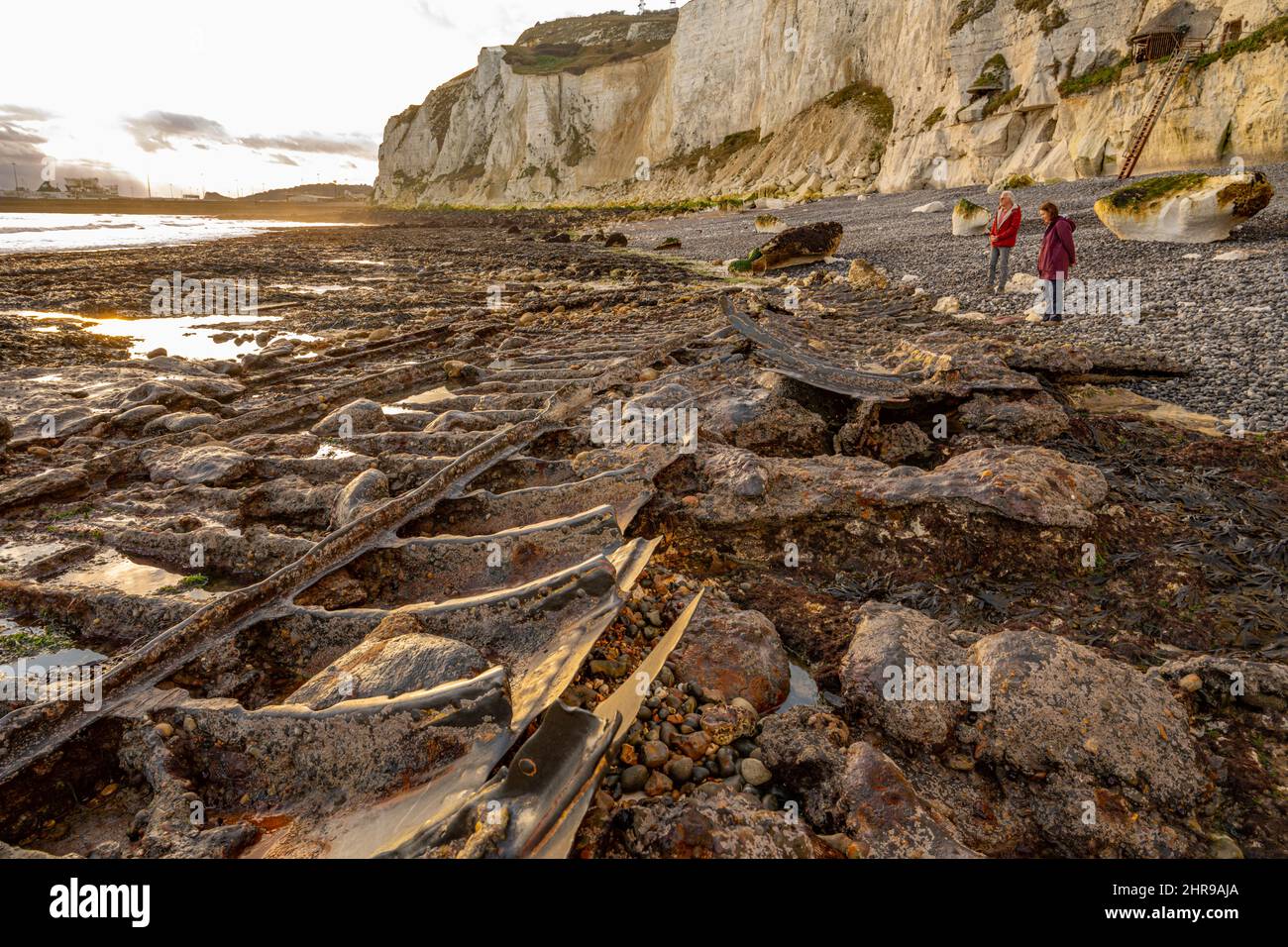 The wreck of SS Falcon, owned by the General Steam Navigation Company ...
