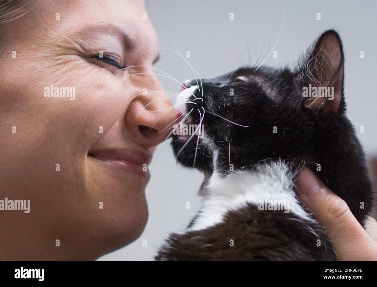 Shelly Roche holds her 8-month-old rescue cat Cassidy, who has no rear ...