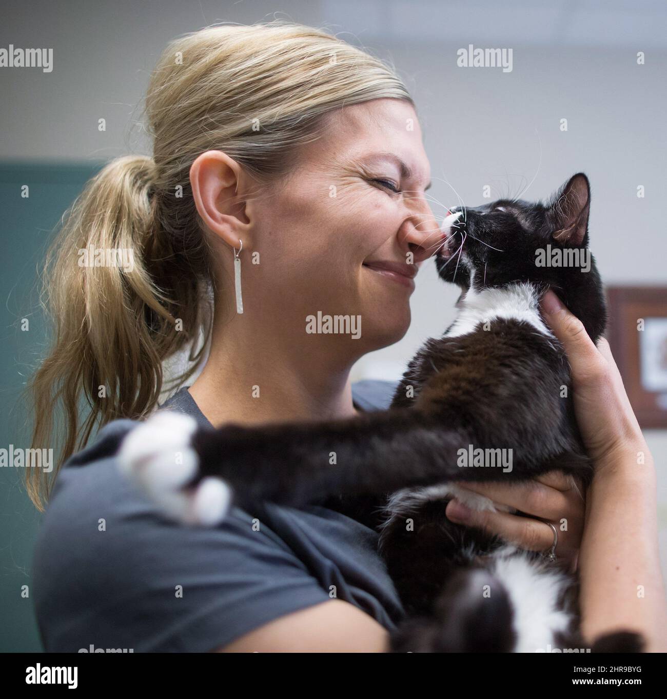 Shelly Roche holds her 8-month-old rescue cat Cassidy, who has no rear ...