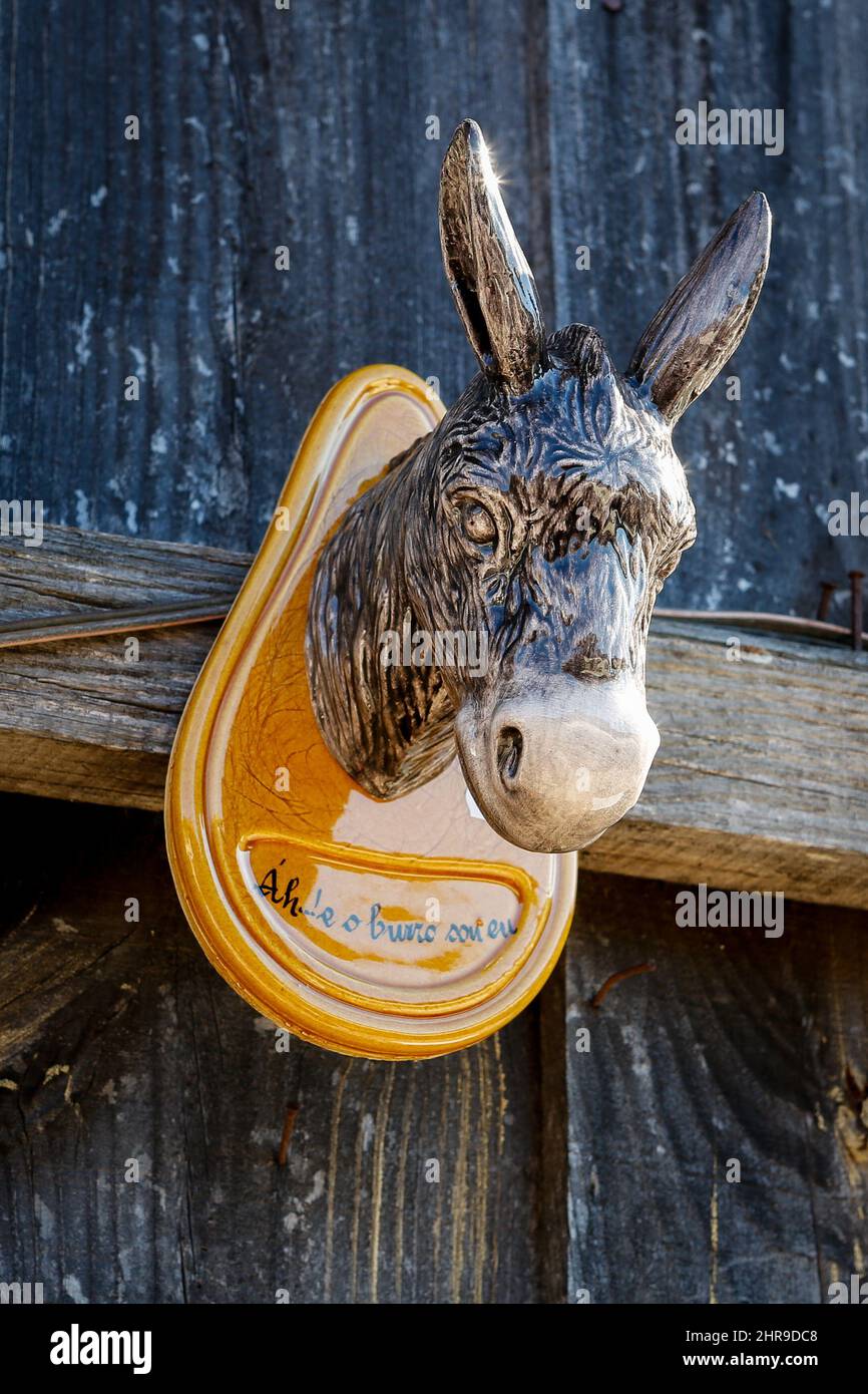 Donkey show hi-res stock photography and images - Alamy