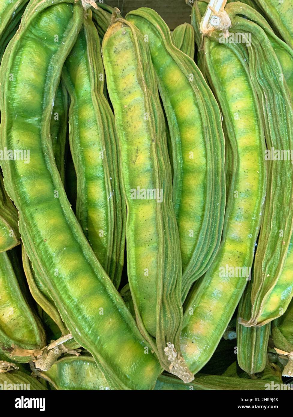 Vertical shot of a stack of green fresh guama beans Stock Photo - Alamy