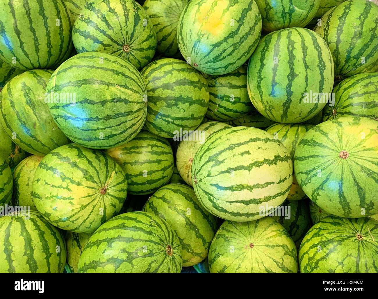 Top view of a stack of fresh and organic watermelons in the market ...