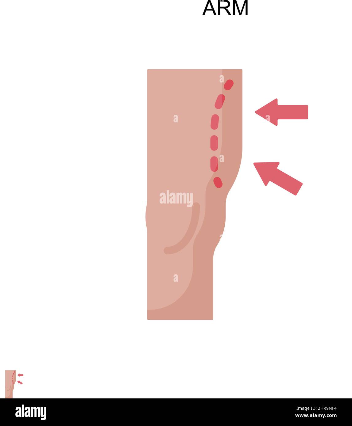 Arm muscle symbol hi-res stock photography and images - Alamy