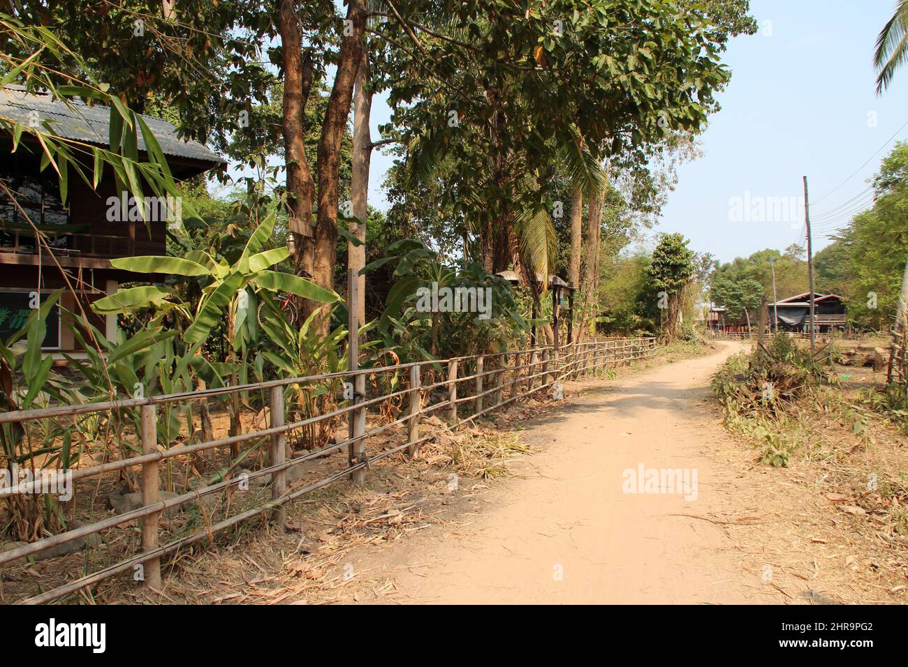 countryside at det island in laos Stock Photo - Alamy