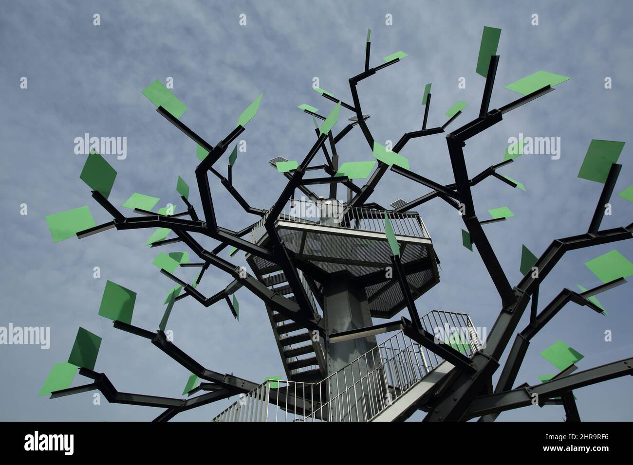 Iron tree in the RheinMain Regional Park, Florsheim, Hesse, Germany ...