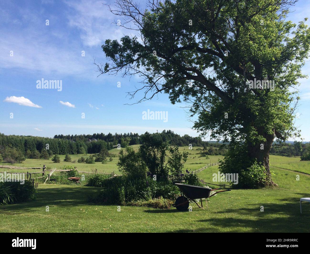 A view from a farm overlooking the Oak Ridges Moraine to the southwest ...