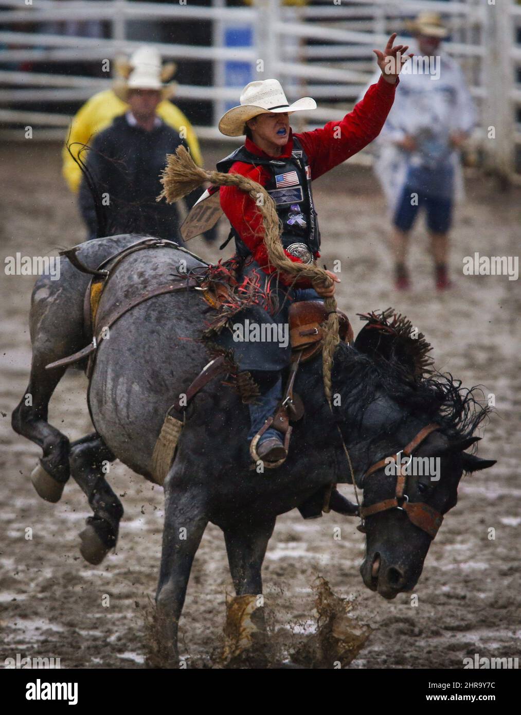 Zeke Thurston, from Big Valley, Alta., stays on Spring Planting to win ...