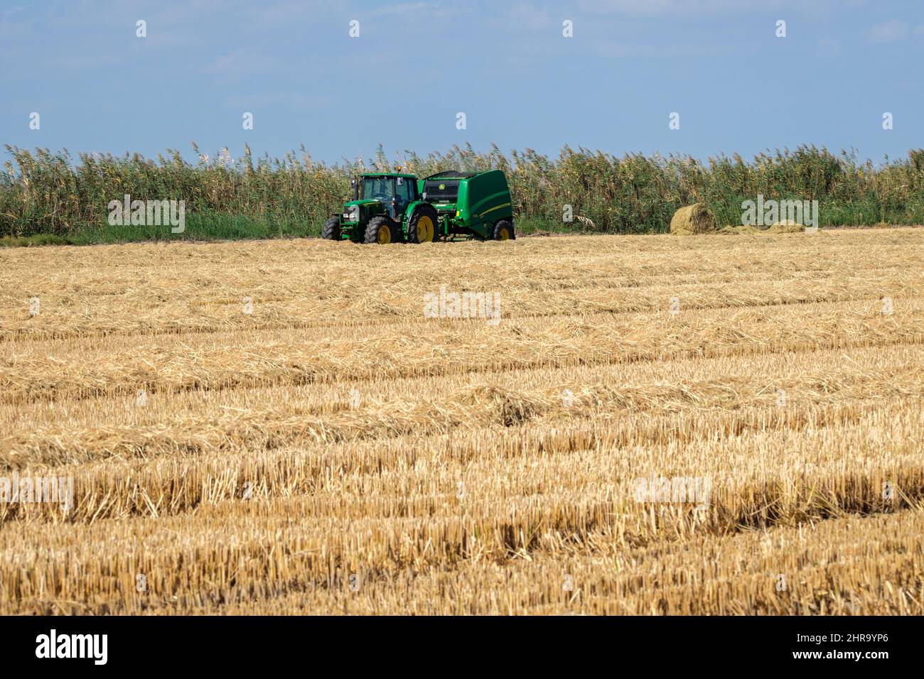 making bales tractor working in rice harvest season valencia spain ...