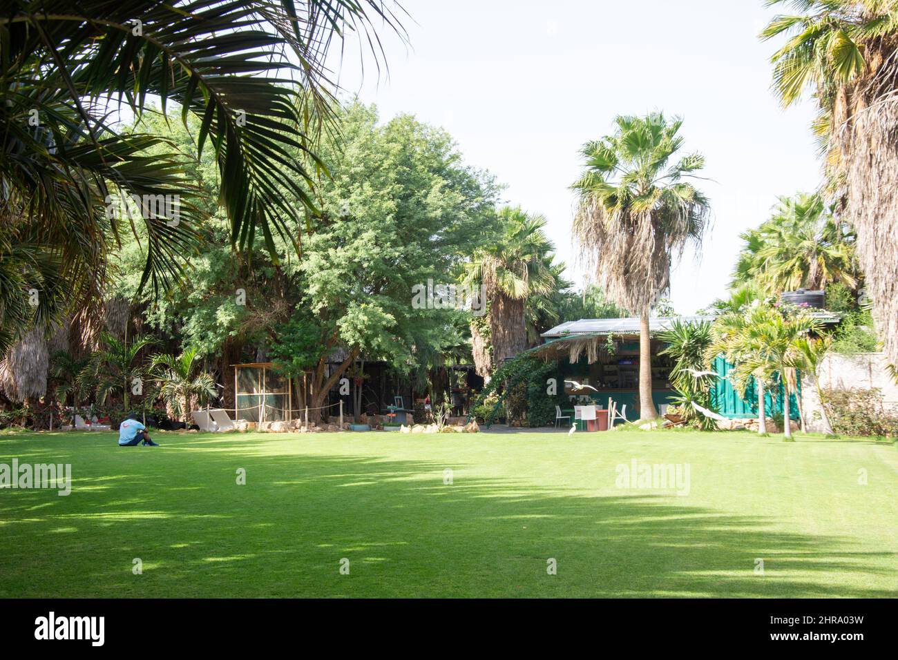 Viveiro Garden & Farm, Santa Maria, Sal (IIha do Sal), República de ...