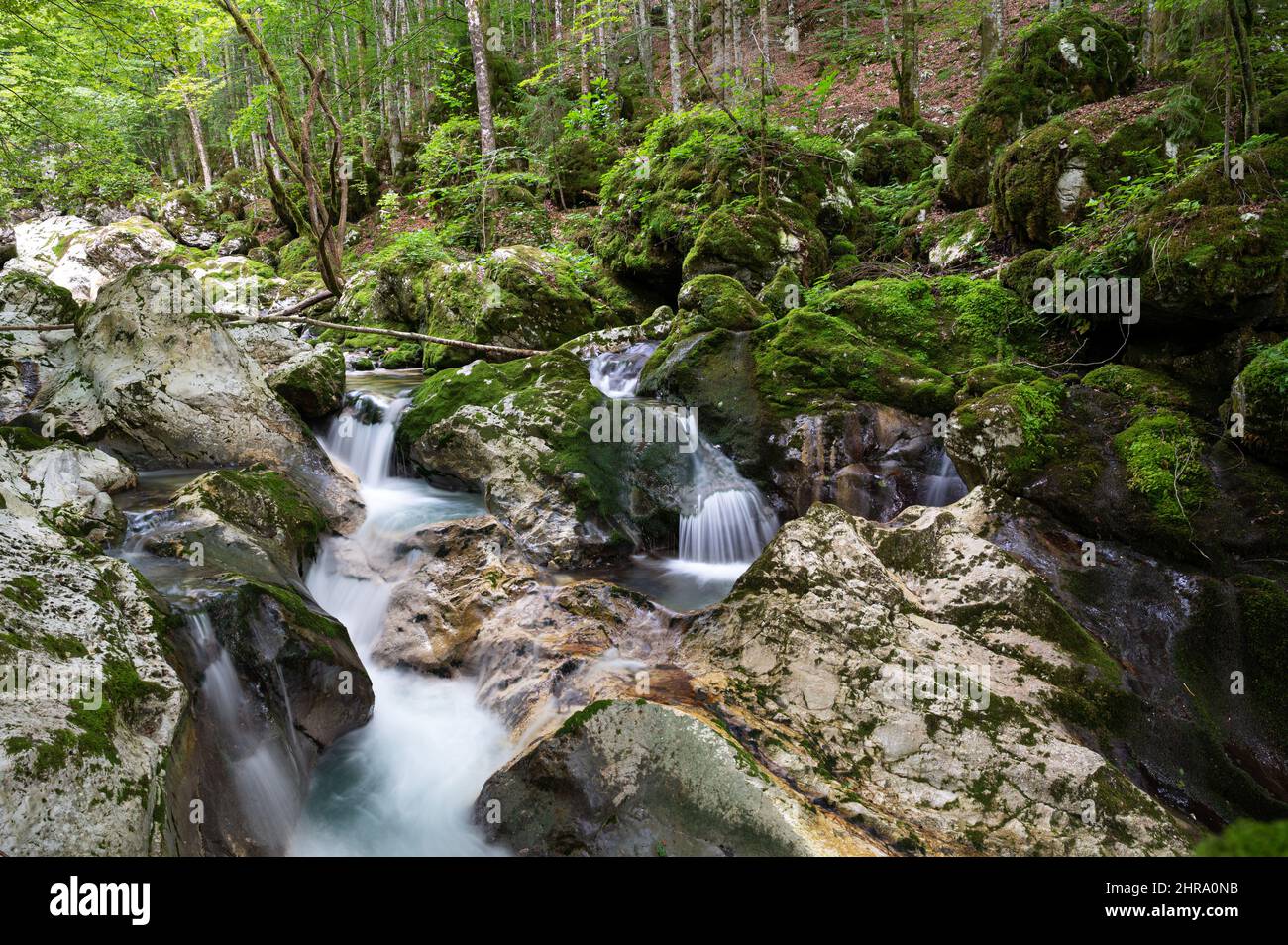 Long exposure image of beautiful stream of water running through mossy ...