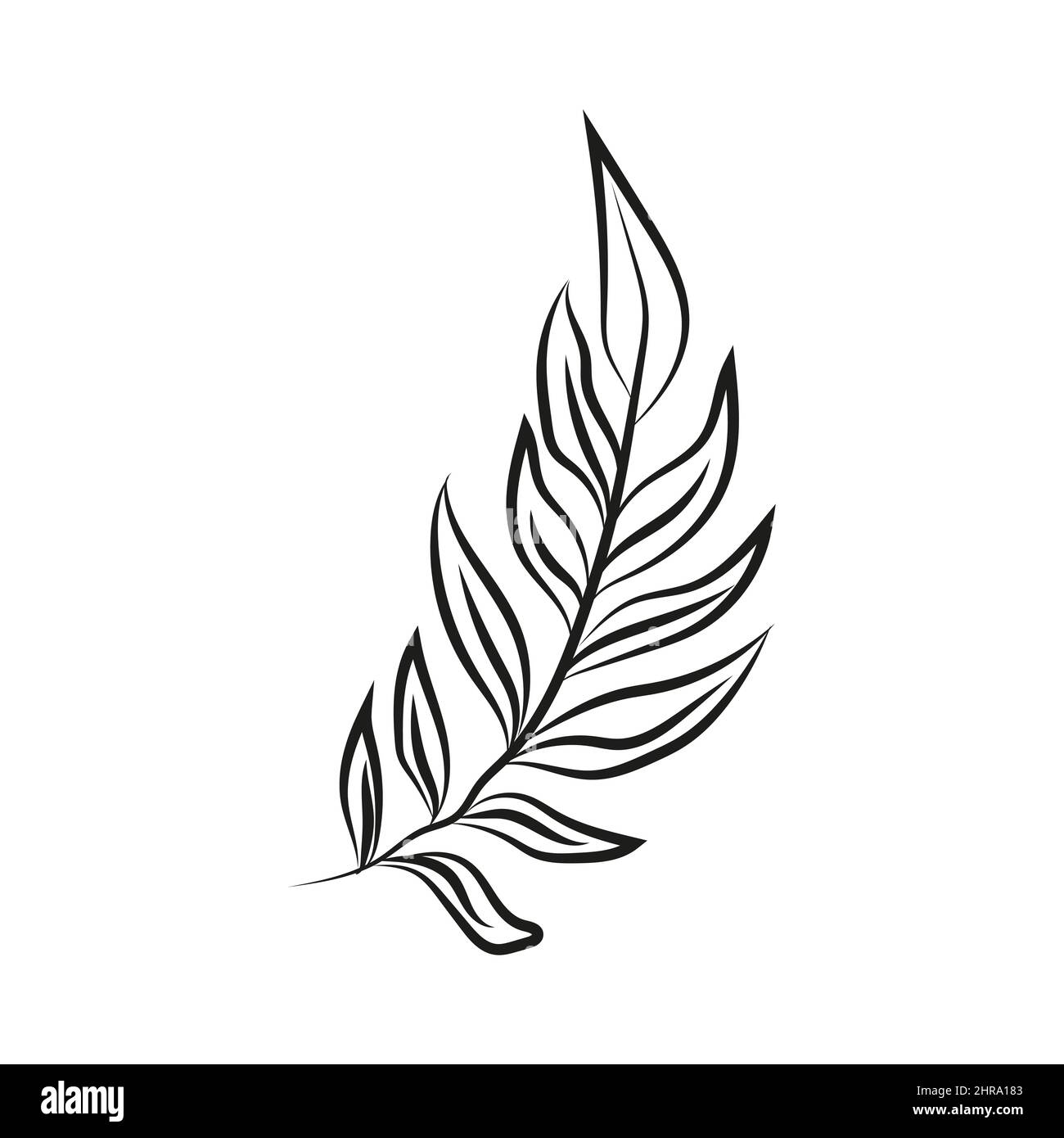 Leaf logo design, vector natural concept inspiration, leaf icon. Logos ...