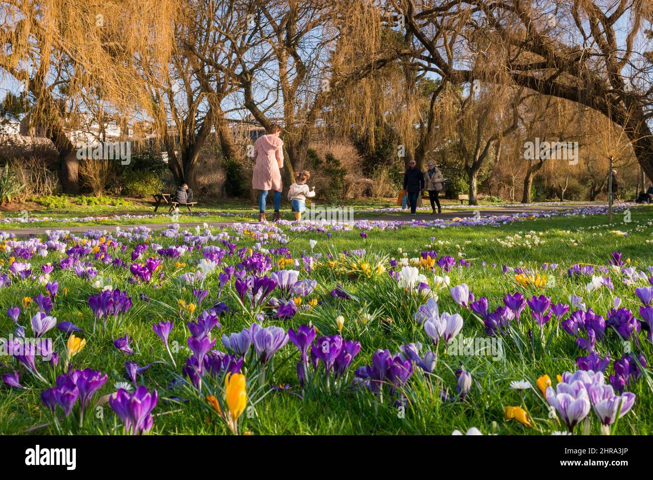 Radipole park hi-res stock photography and images - Alamy