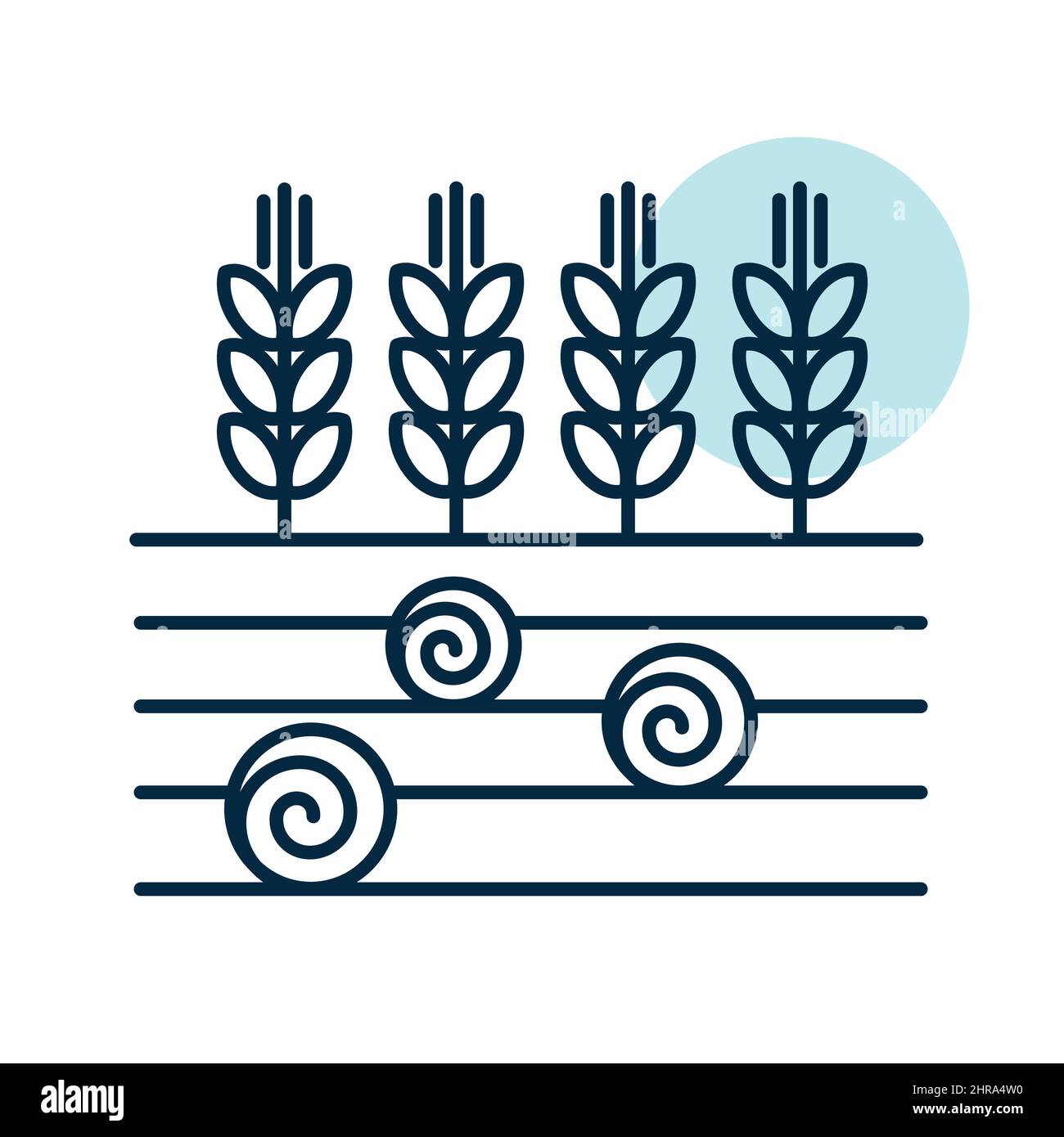 Ears of Wheat, Barley or Rye on field and round hay bales isolated icon ...