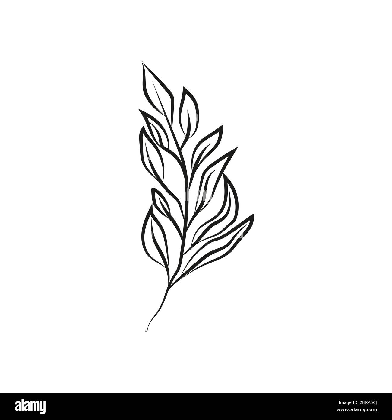 Leaf logo design, vector natural concept inspiration, leaf icon. Logos ...