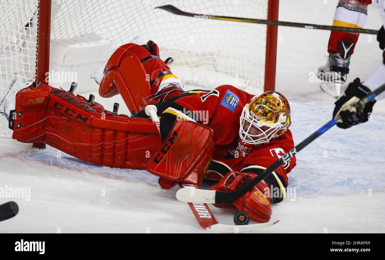 Calgary Flames goalie Brian Elliott, dives for a lose puck during ...
