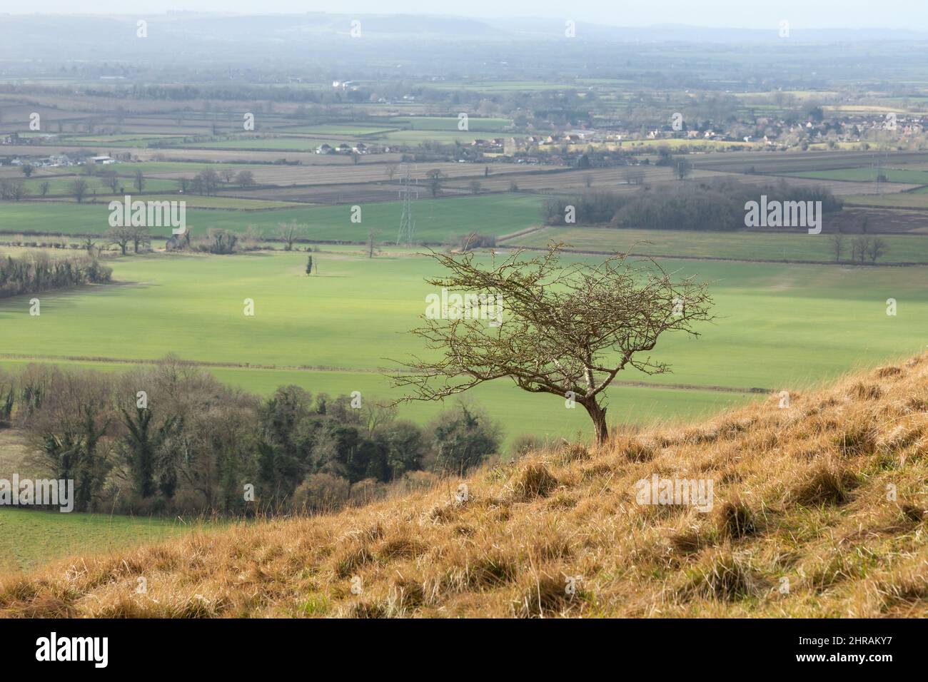 Roundway hi-res stock photography and images - Alamy