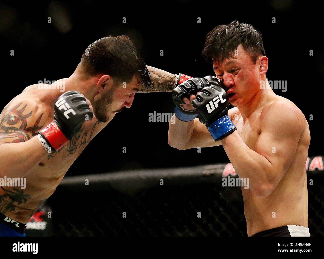 Featherweight Cub Swanson (left)connects with a punch to the face of ...