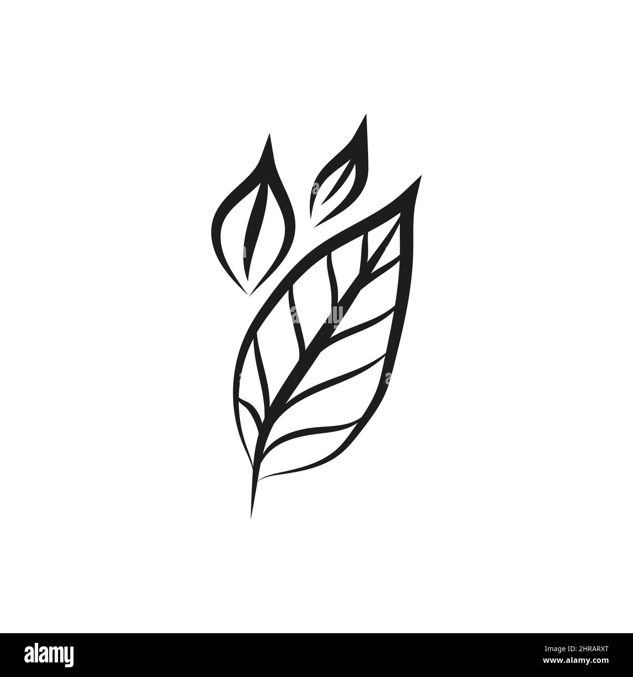 Leaf logo design, vector natural concept inspiration, leaf icon. Logos ...