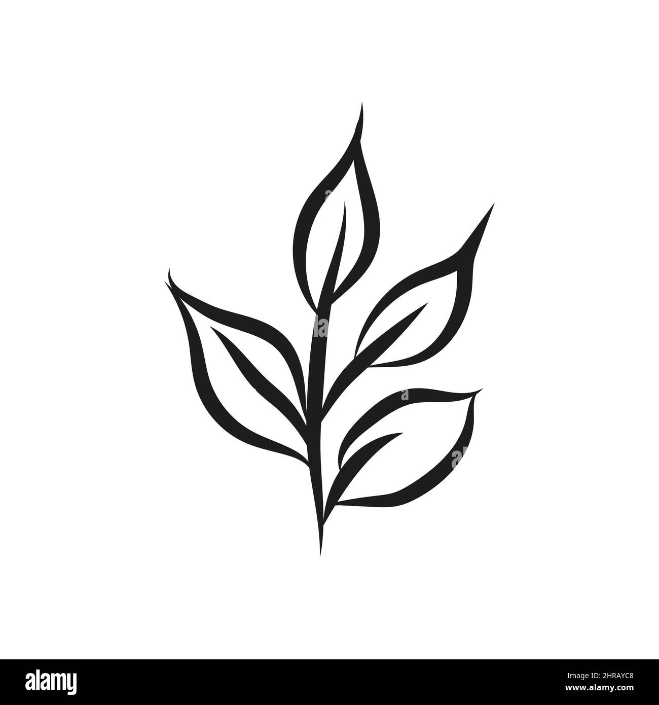 Leaf logo design, vector natural concept inspiration, leaf icon. Logos ...