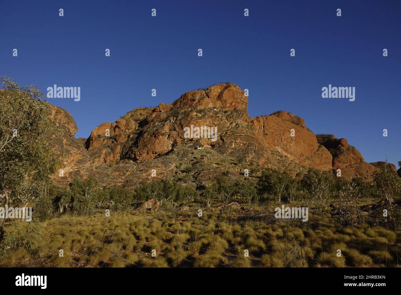 Grass covered rock with blue sky on the background Stock Photo - Alamy