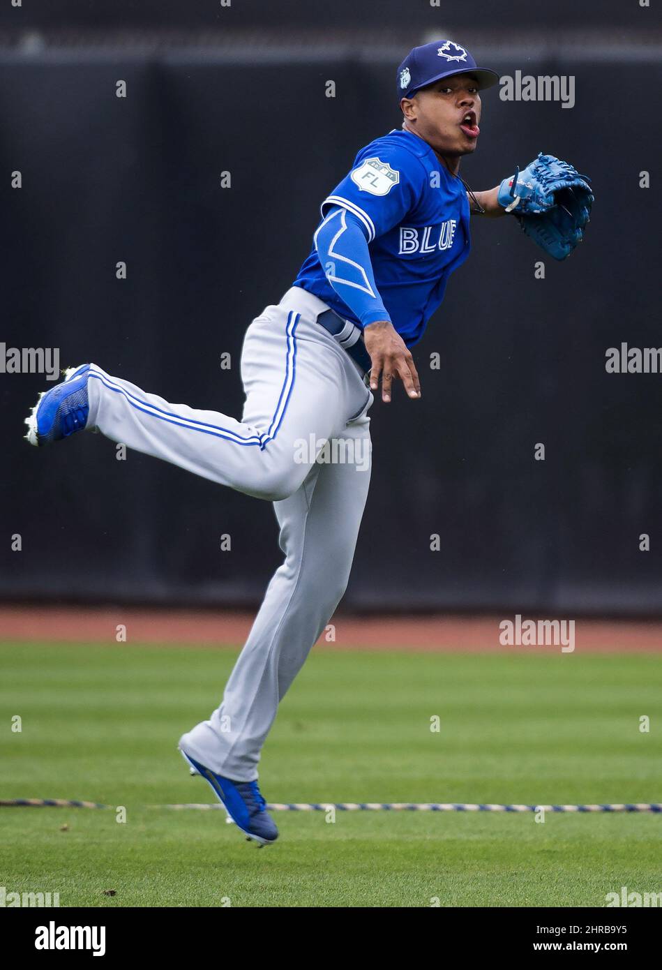 Toronto Blue Jays starting pitcher Marcus Stroman warms up before ...