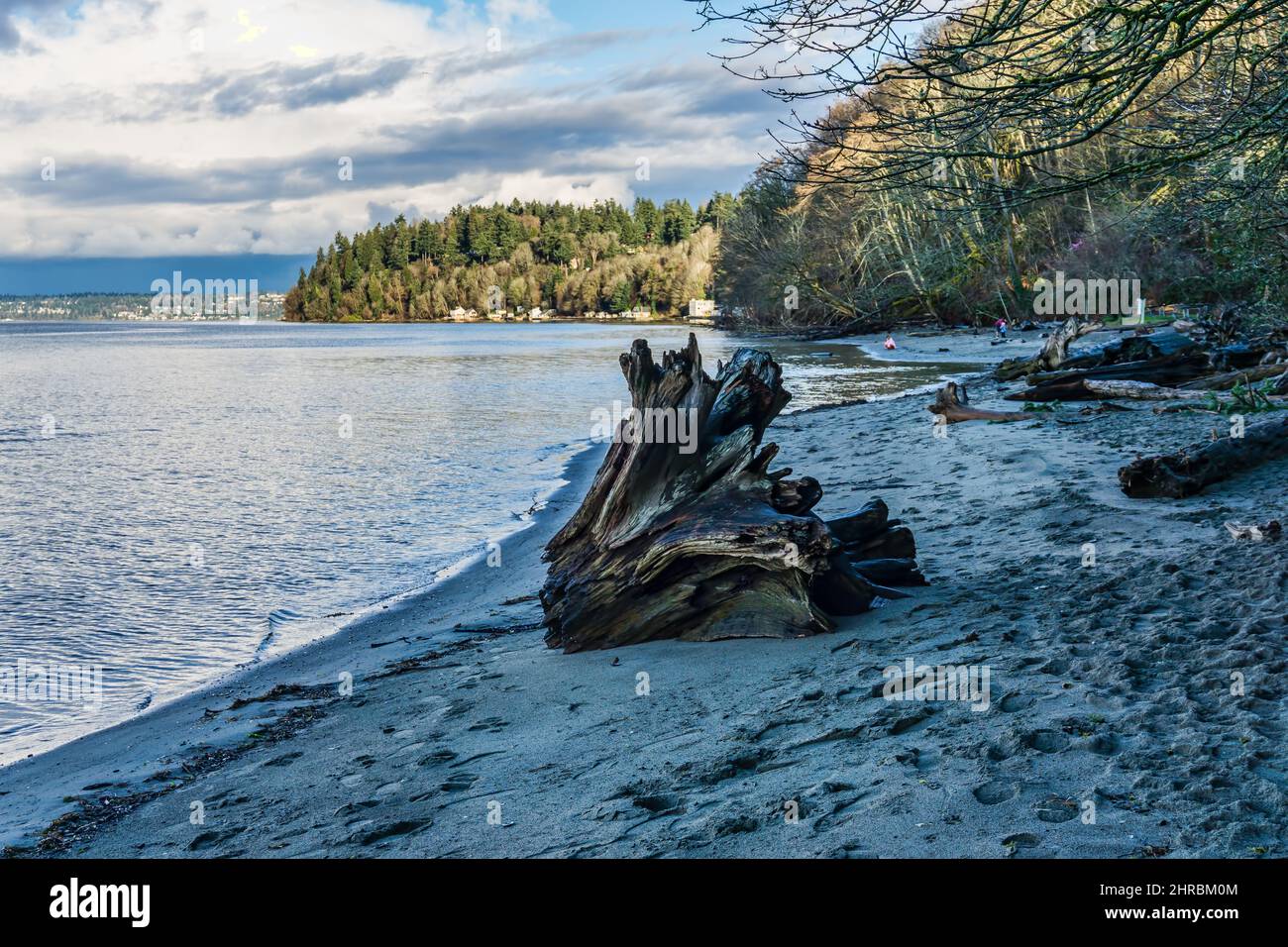 The shoreline at Dash Point, Washington in winter Stock Photo - Alamy