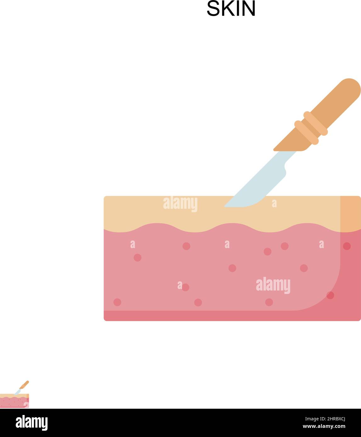 Skin Simple vector icon. Illustration symbol design template for web ...