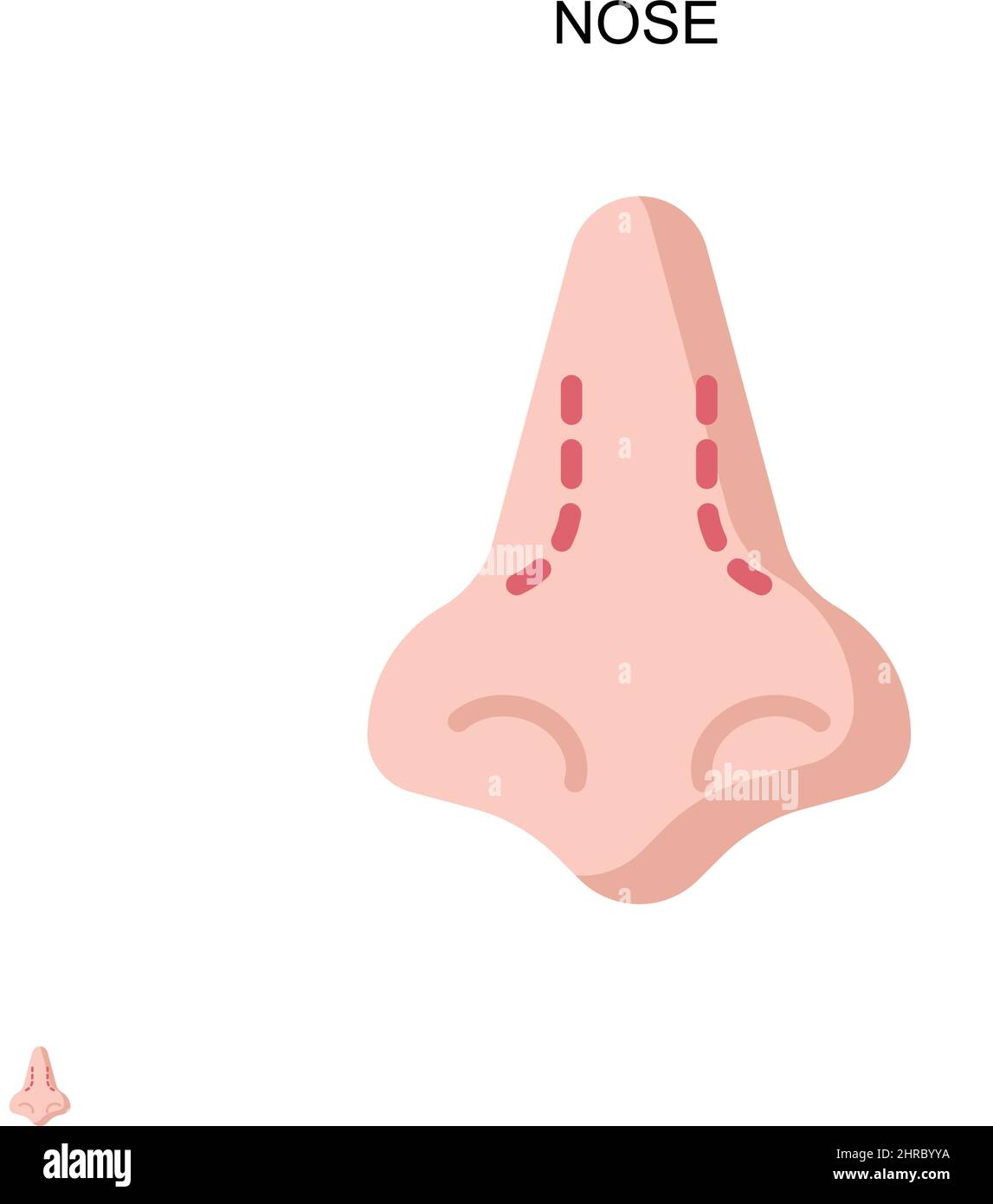 Nose Simple vector icon. Illustration symbol design template for web ...