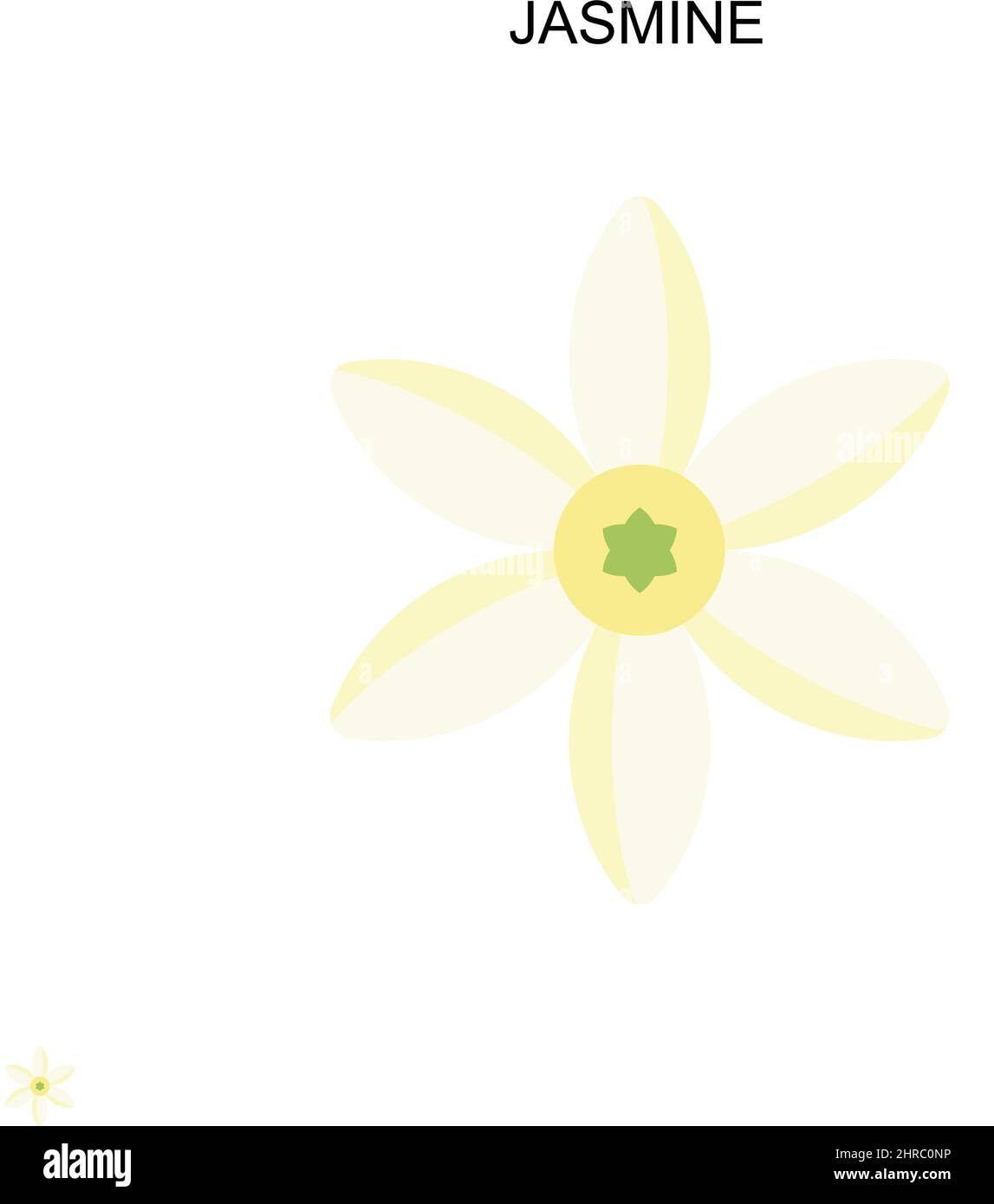 Jasmine illustration hi-res stock photography and images - Alamy