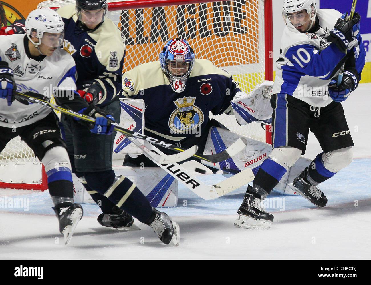 Saint John Sea Dogs' Cole Reginato (left) battles with Windsor ...