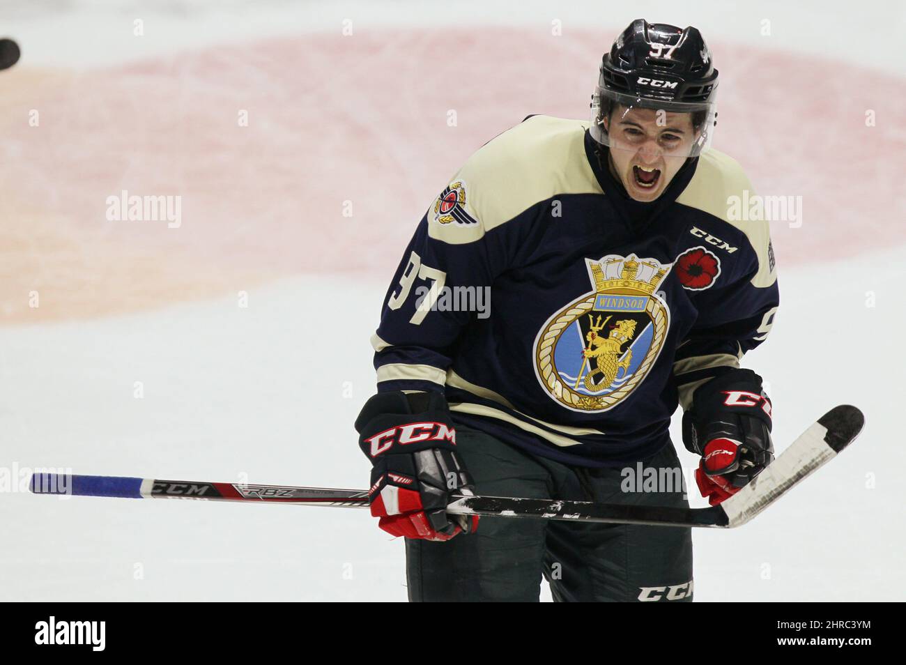 Windsor Spitfires' Jeremy Bracco celebrates his goal against the Saint ...