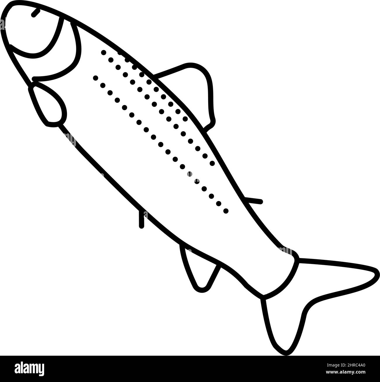 Smolt sea Cut Out Stock Images & Pictures - Alamy