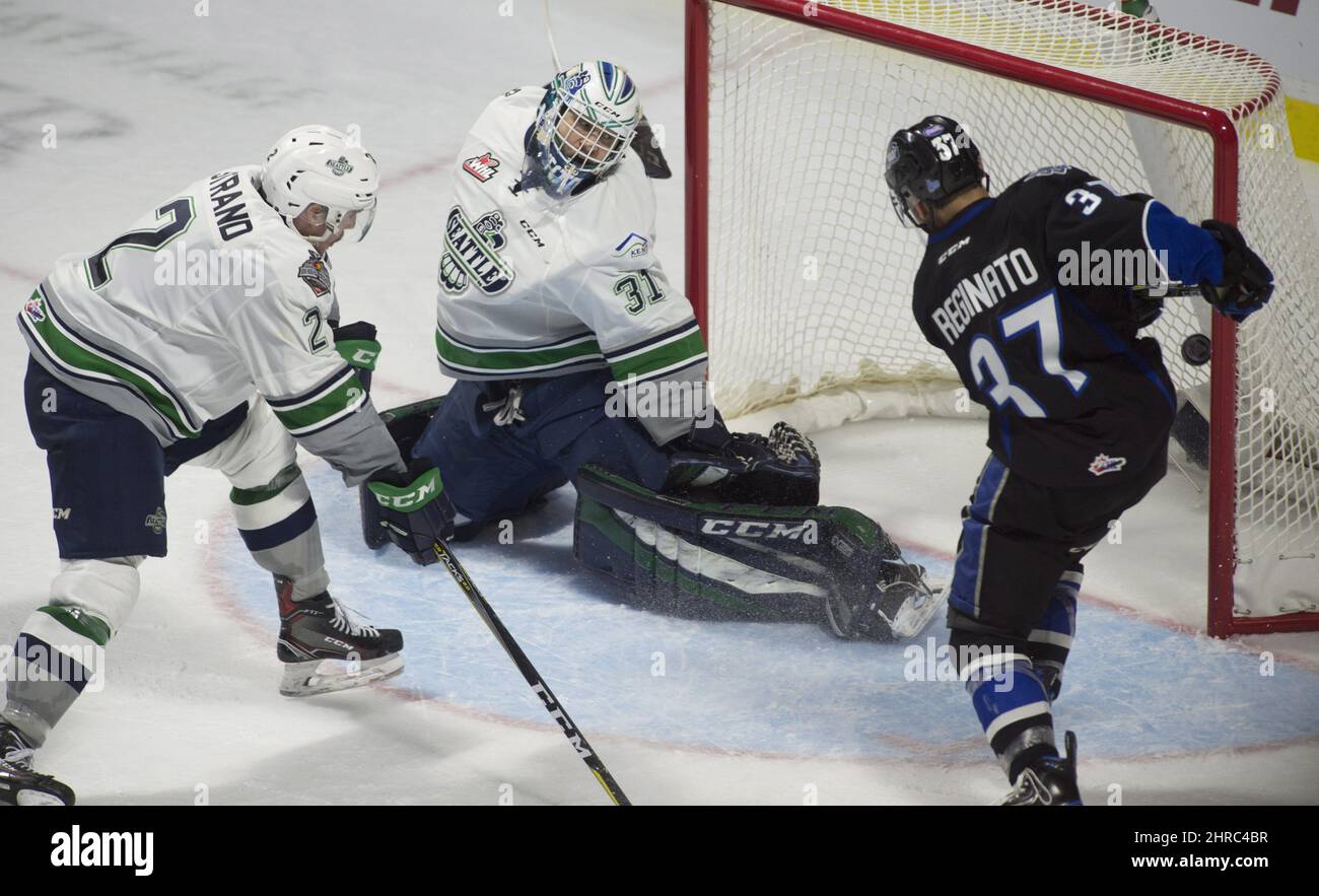 Saint John Sea Dogs left wing Cole Reginato scores on Seattle ...