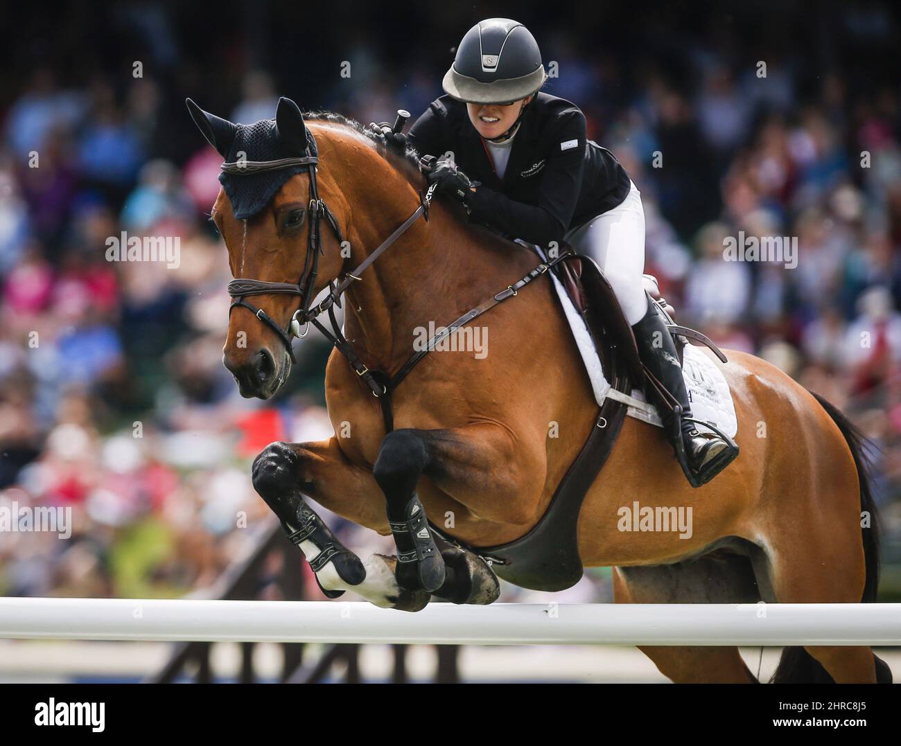 Canada's Jenna Thompson, riding Zidane, competes in Nexen Cup Derby ...