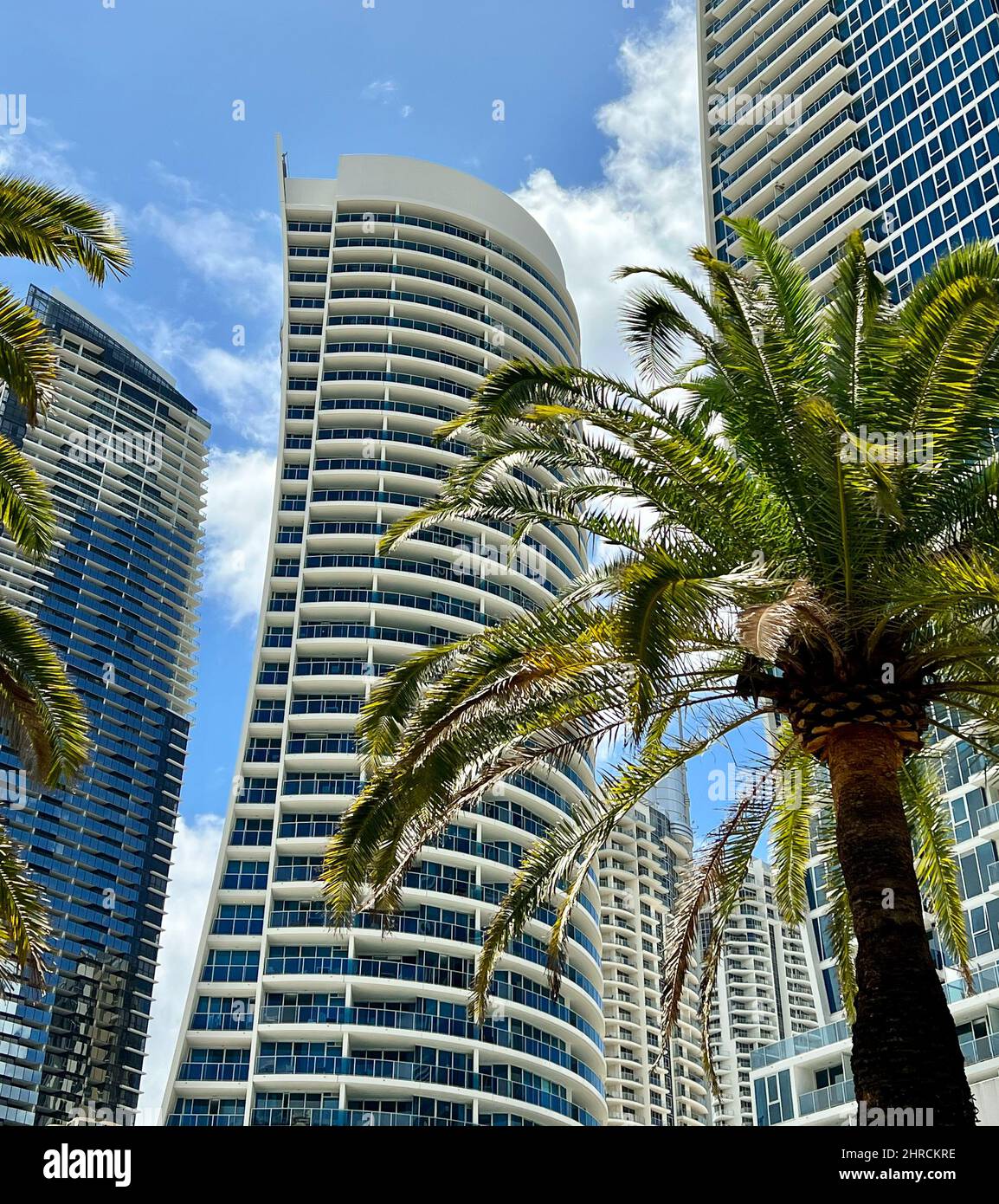View of High Rises buildings on the Gold Coast of Australia with palm ...