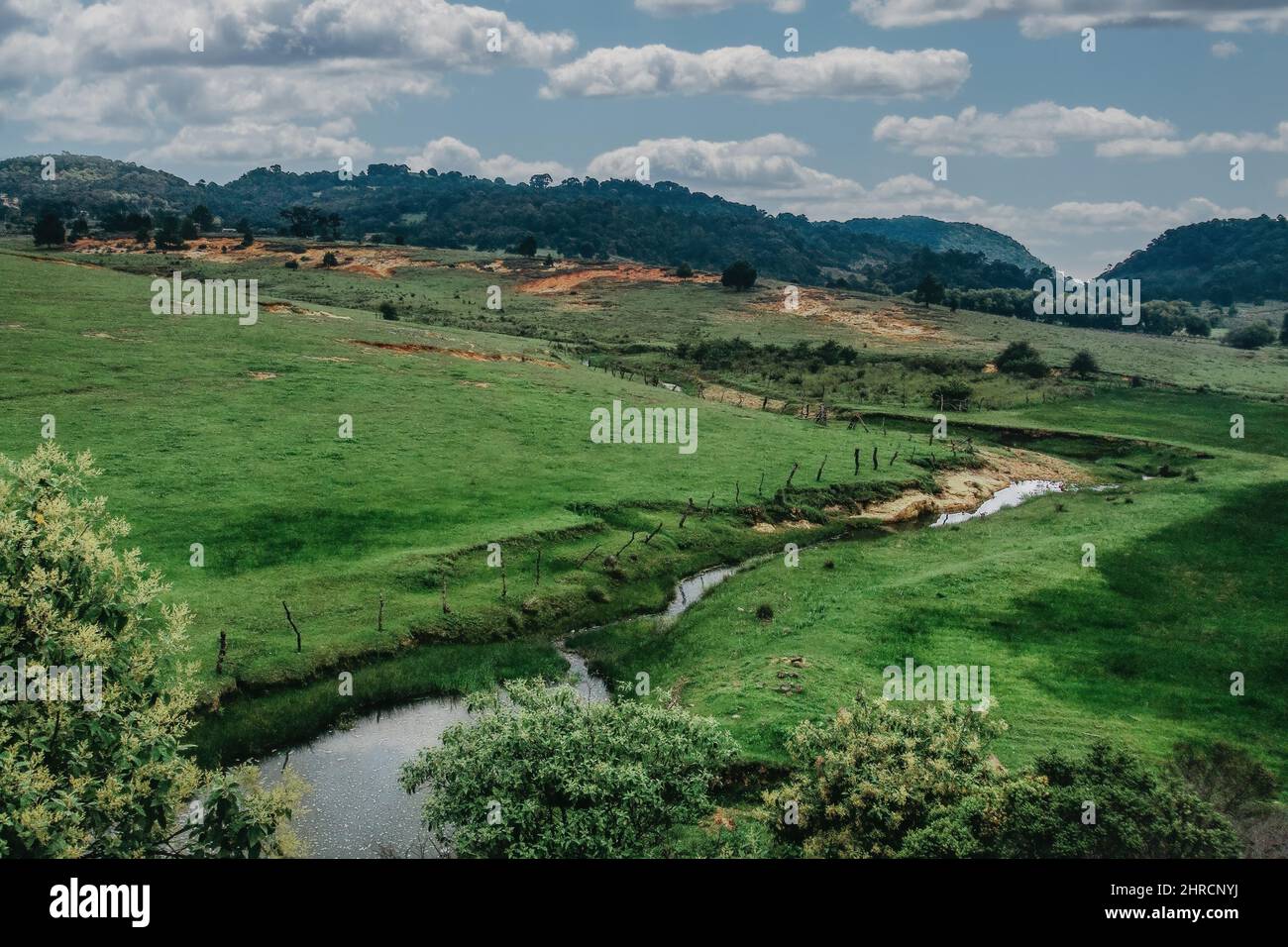 Beautiful view of a river flowing through the field with green grass ...