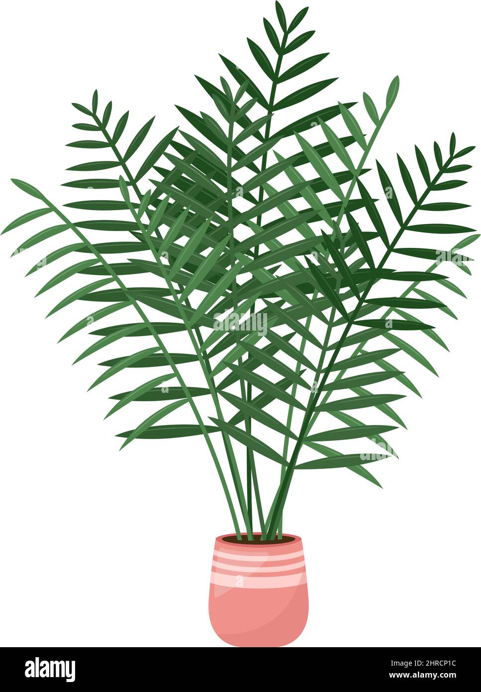 Palm branch home Stock Vector Images - Alamy