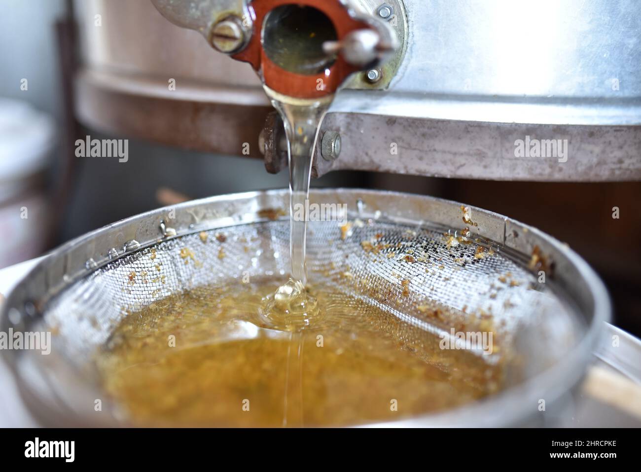 Process of filtering honey Stock Photo - Alamy