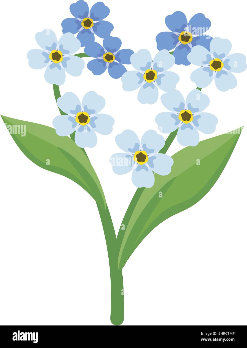 Little blue forget me not flowers in the shape of heart with stems and ...