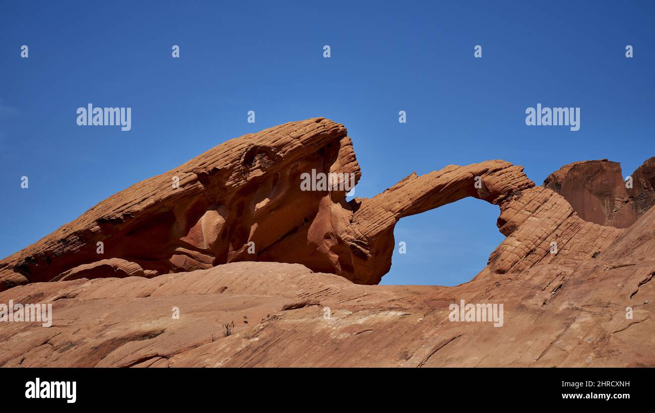 Beautiful shot of a desert rock in a sunny day in the Valley of Fire ...