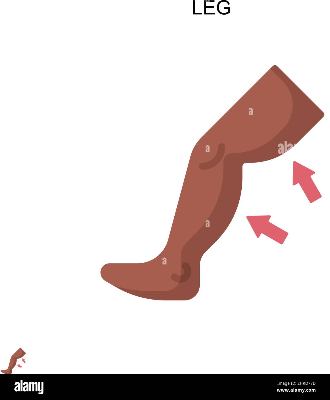 Cartoon female legs Cut Out Stock Images & Pictures - Alamy