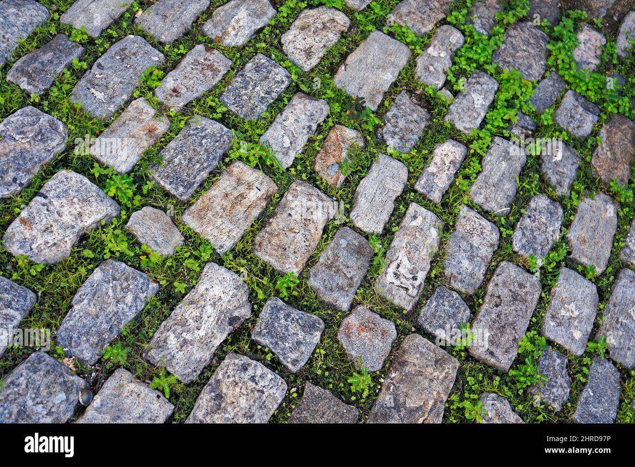 Cobblestone with moss texture background Stock Photo - Alamy