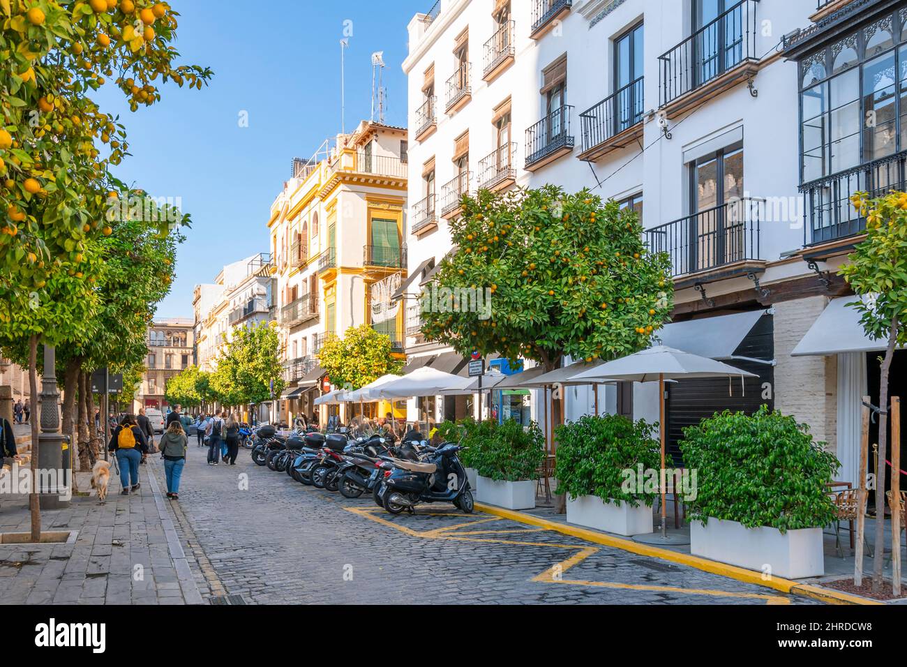 Seville cafe orange trees hi-res stock photography and images - Alamy