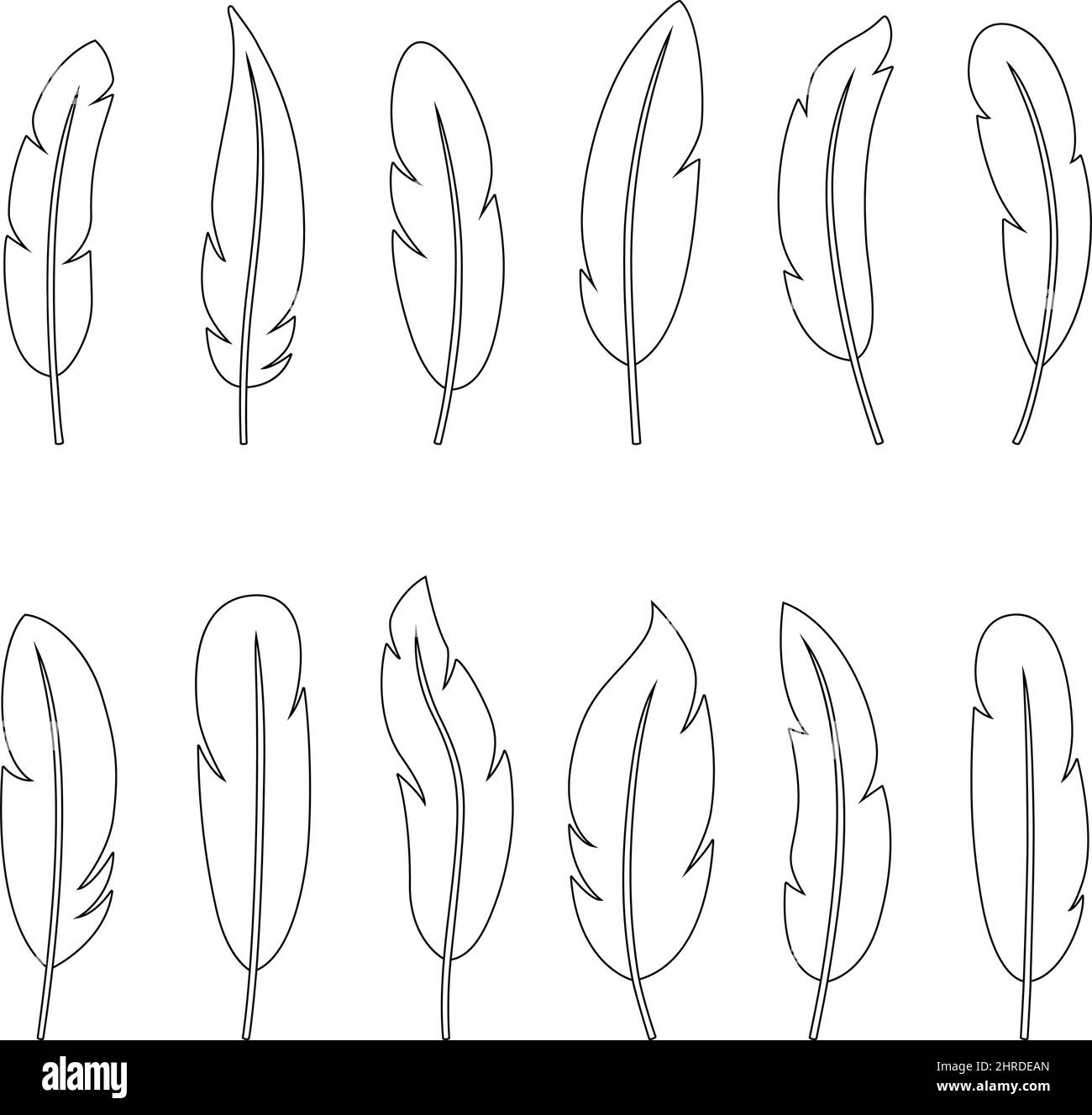Set of outlines of feathers, vector illustration Stock Vector Image ...