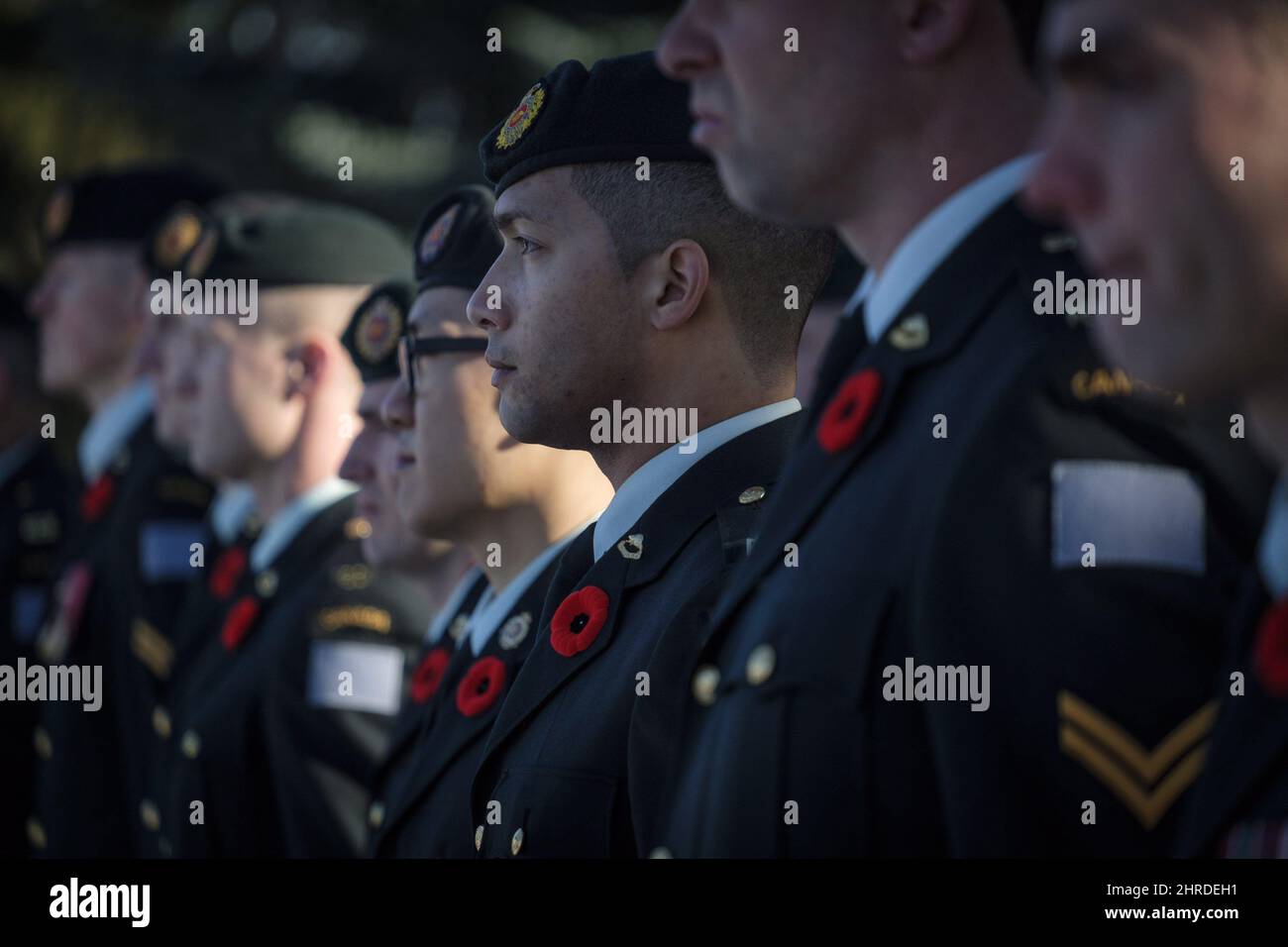 Members of 33 Engineer Squadron, 41 Combat Engineer Regiment, stand at ...