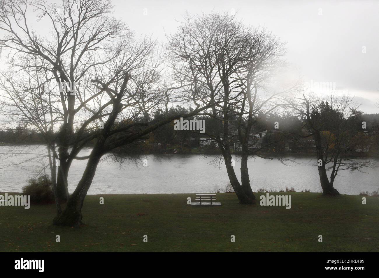 Kosapsom Park near where a memorial marking 20 years since the swarming ...