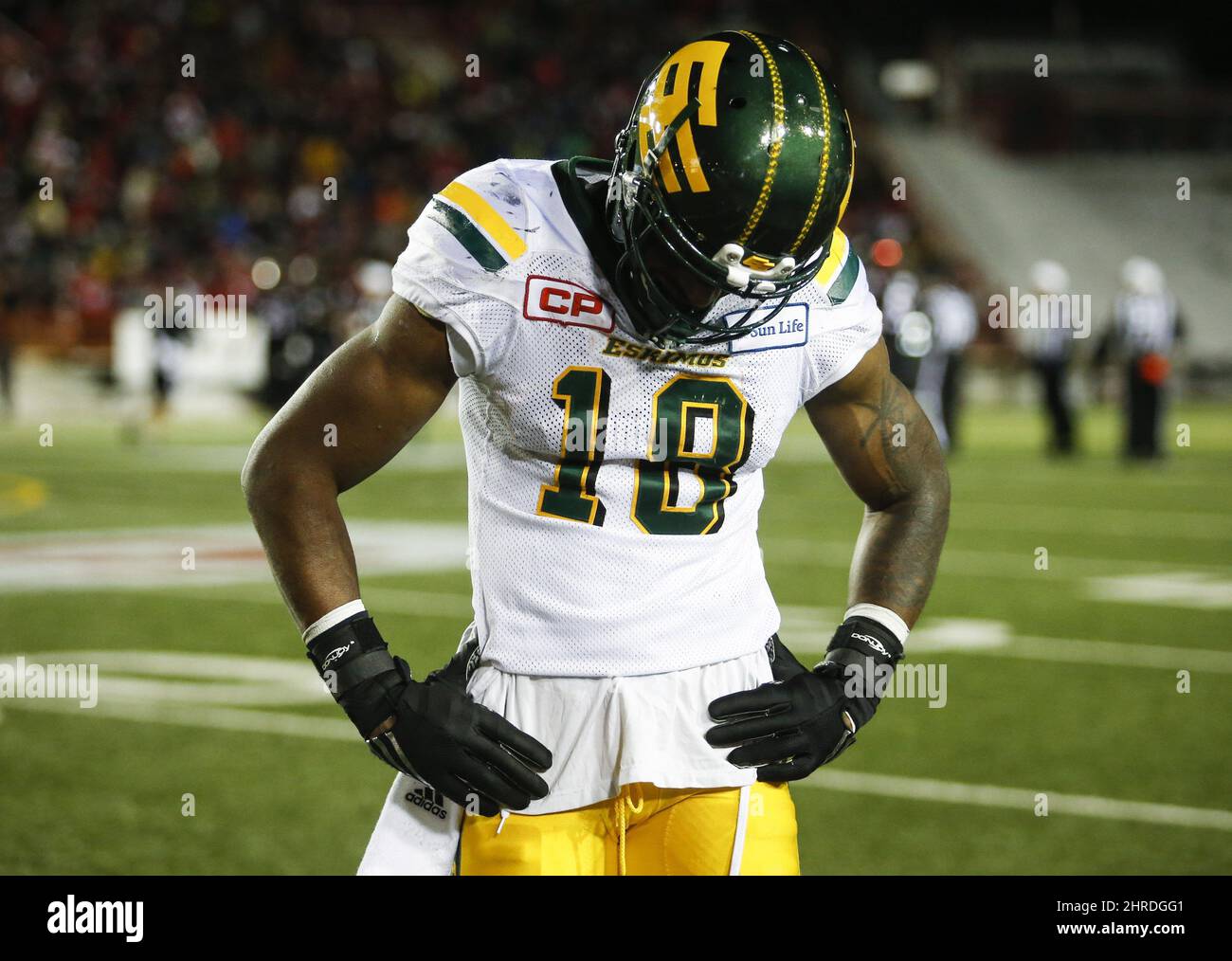 Edmonton Eskimos' Cory Watson reacts to losing to the Calgary ...
