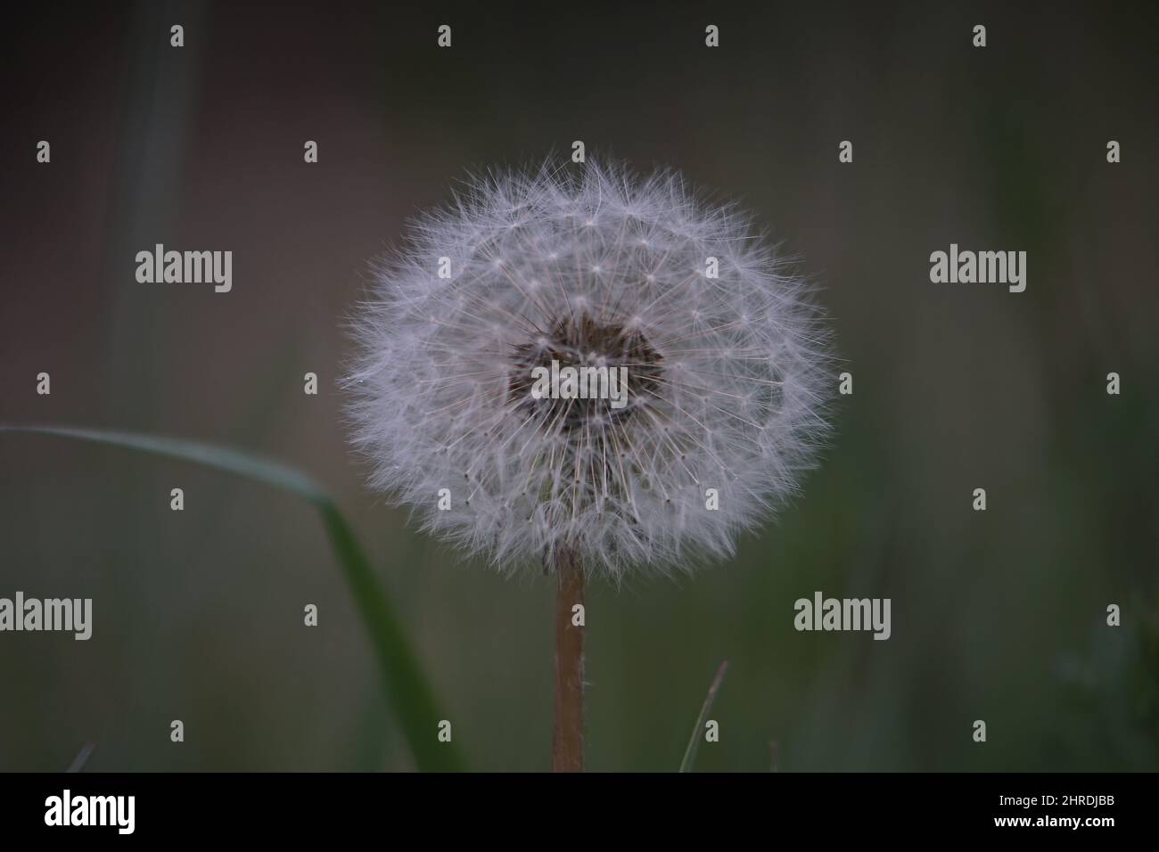 Beautiful shot valley in hi-res stock photography and images - Alamy